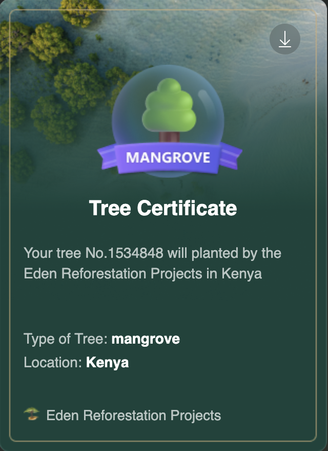 Khi trồng cây ảo mà thật: E-tree Bing Microsoft - The Bien